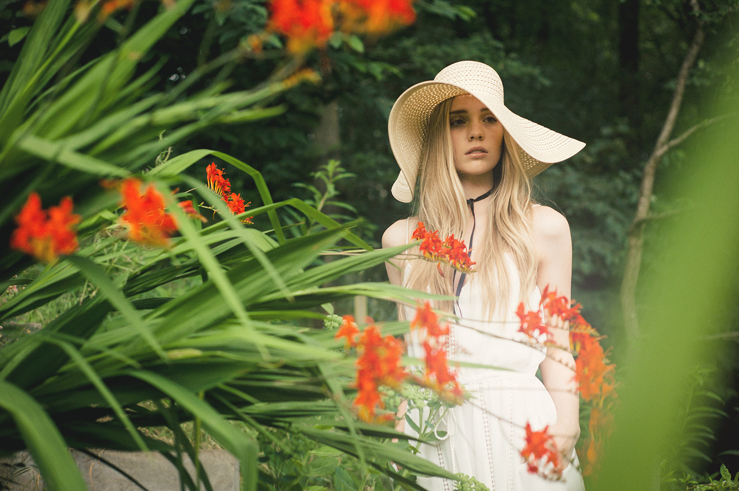 Editorial - Roscoe Rutter